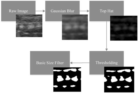Stages Of Image Preprocessing Download Scientific Diagram