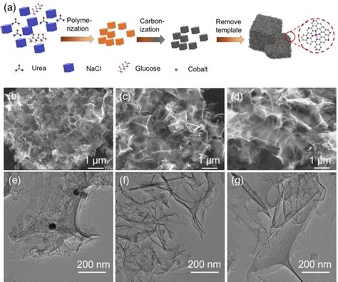A Schematic Illustration Of The Synthetic Procedure Of Nacl‐induced Download Scientific