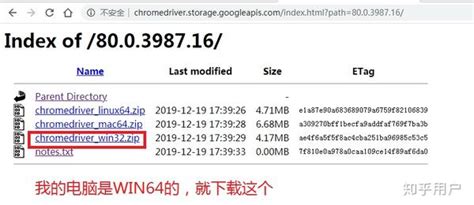 Python自动化测试时，chrome浏览器启动后闪退？ 知乎