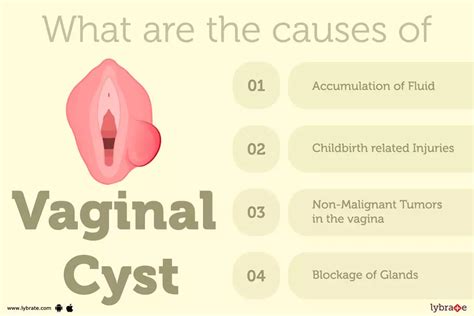 Vaginal Lip Cyst Simple Operations Of The Vulva Glowm