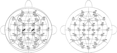 Illustration To The Synchronization Features Computed From The Eeg Download Scientific Diagram