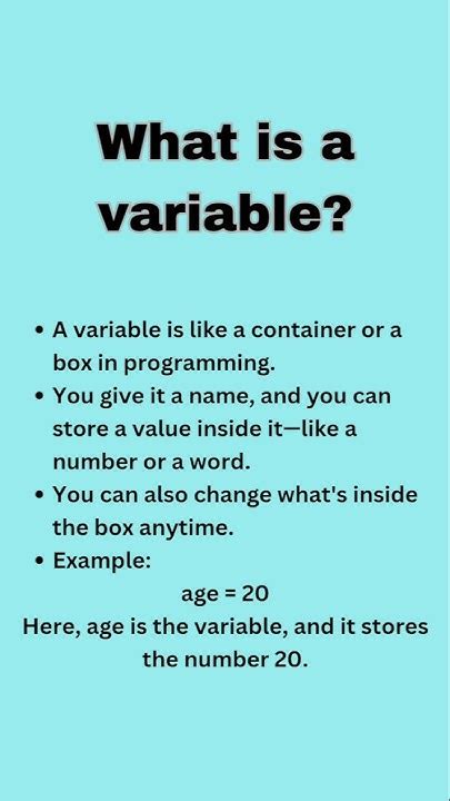 What Is A Variable Programming Basics For Beginners Techinseconds Youtube