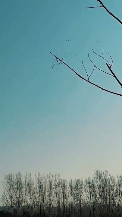 මෙහෙමත් ටාගට් කිරිල්ලක් එකෙන්ම වැඩ්ඩෙක් Youtube