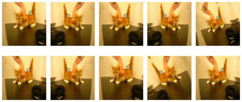 Practical And Innovative Analytics In Data Science Appendix E — Image Processing With