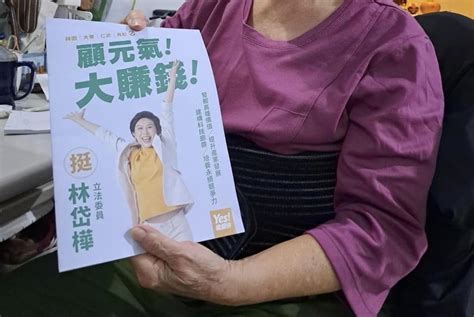 林岱樺公布「顧元氣」政績電子書 網大讚：全台最有誠意 蕃新聞