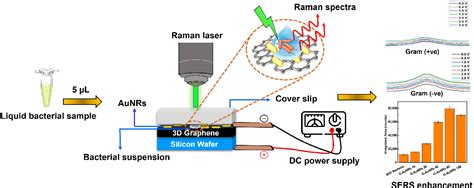 Figure 1 From Gold Nanorod Density Dependent Label Free Bacteria Sensing On A Flake Like 3d
