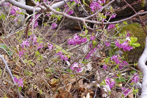 Prečko Polje Map Bosnia And Herzegovina Mapcarta