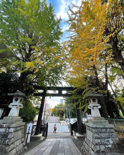 Шамов Дмитрийさんのインスタグラム写真 Шамов Дмитрийinstagram 「Осень 🍂 Вот и в Токио постепенно наступает