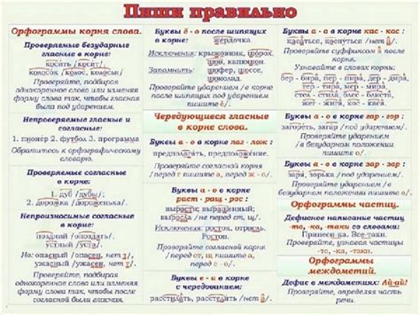 Орфография 1 2 3 4