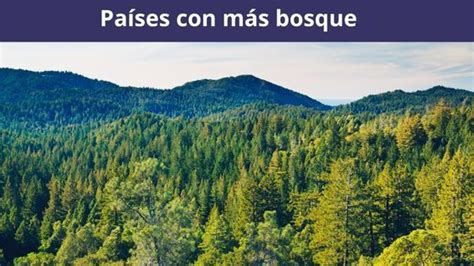Geografía General De Chile Preguntas Frecuentes