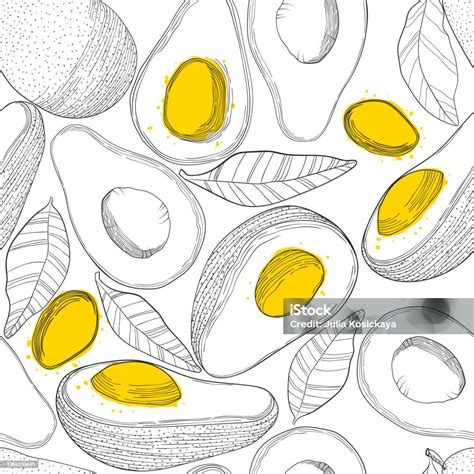 벡터 손으로 그린 아보카도 씨앗 원활한 패턴에 노란색 페인트 반점 전체 아보카도 씨앗 반 스케치잎 헬시 음식은 새겨진 스타일로 배경을 반복했습니다 새긴 이미지에 대한 스톡