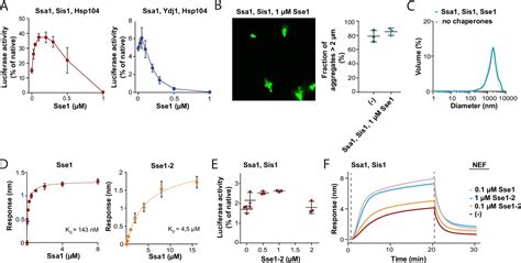 Figures And Data In Early Steps Of Protein Disaggregation By Hsp70 Chaperone And Class B J