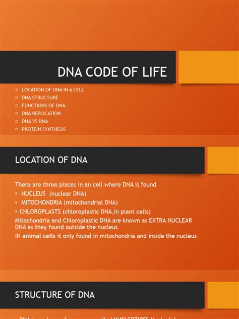 Dna Code Of Life Pdf Dna Biosynthesis