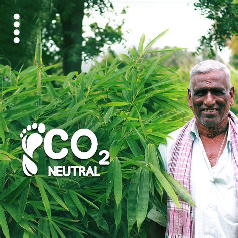 Sustainabilitychampion Carbonneutraljourney Flourish Carbonneutral