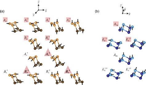 Fig S1 Color Online Non Normalized Eigenvector Representations For