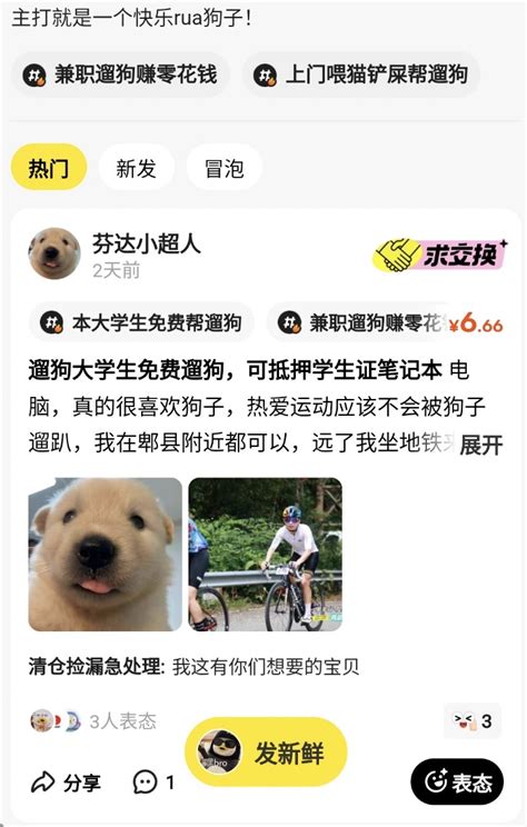 暑假来袭 代遛”宠物服务供不应求，超5万大学生愿意 押学生证遛狗”