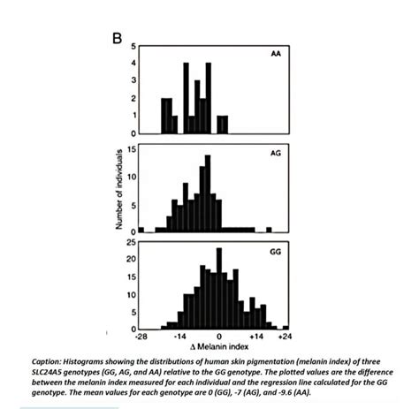 Solved Based On These Graphs Which Genotype Has The Darkest