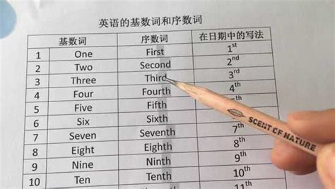 基数词和序数词 高清1080p在线观看平台 腾讯视频