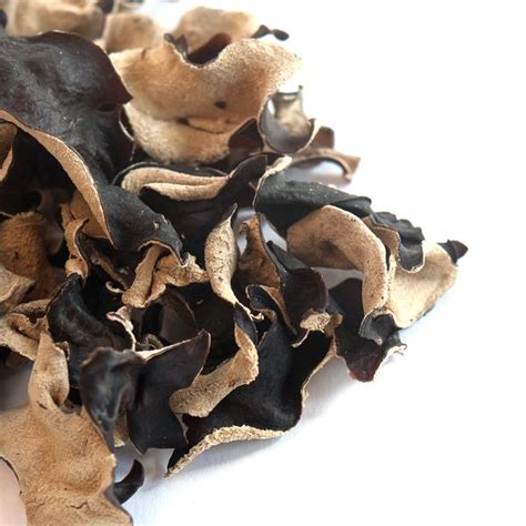 Wood Ear Mushroom Dried Auricularia Auricula Judae Spice Jungle