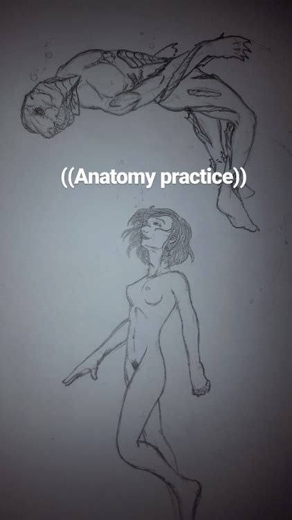 The Pyramid Collection Tumblr