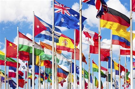 7 International Business Careers That Are In High Demand