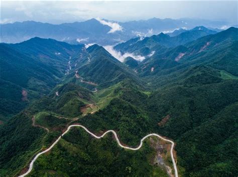 「白露」開竿 山核桃產區開啟豐收季 每日頭條