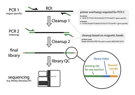 Ngi Sweden Illumina Amplicon Sequencing