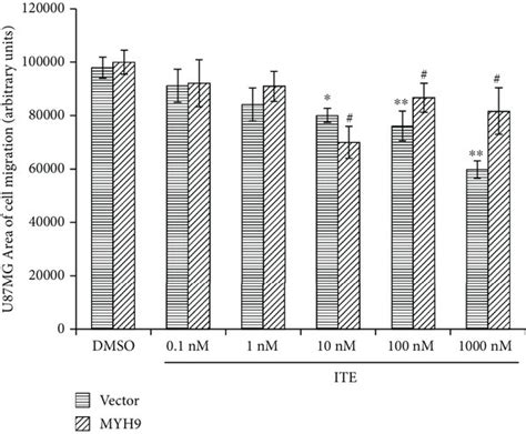 MYH9 Expression Level And Cell Migration Ability A Cells Were