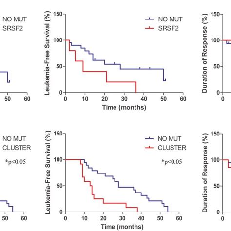 Gene Mutation Analysis By Illumina Cancer Myeloid Panel Download Scientific Diagram
