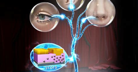 사람 신경처럼 감각 신호 처리하는 인공 뉴런 개발