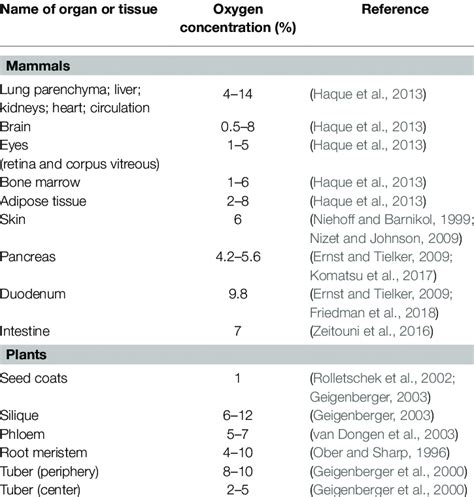 Oxygen Concentration In Organs And Tissues Download Scientific Diagram