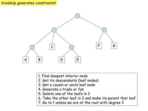 Ppt Species Trees And Constraint Programming Recent Progress And New