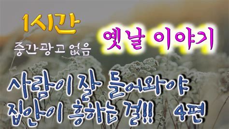 🌜옛날이야기 중간광고 없는 1시간 아무쪼록 사람이 집안에 잘 들 들어와야 집안이 흥하는 법이야 똑순이 며느리 등 4편 잠자리동화 꿀잠동화 오디오북 이야기