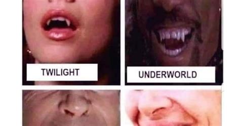 Different Types Of Fangs Album On Imgur