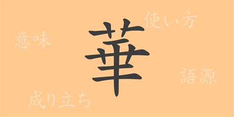 Nippolle