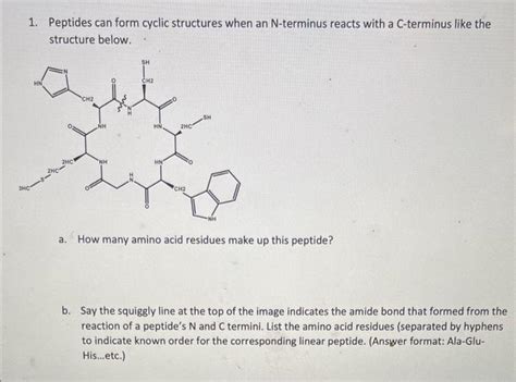Solved Peptides Can Form Cyclic Structures When An Chegg