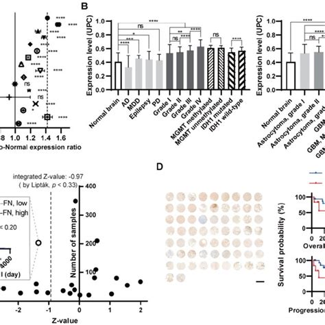 Extra Domain B Of Fibronectin Edb Fn Expression In Human Brain Download Scientific Diagram