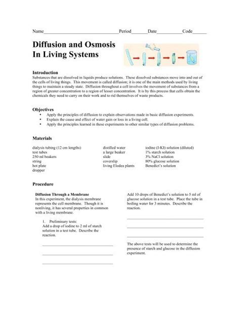 Diffusion And Osmosis Lab