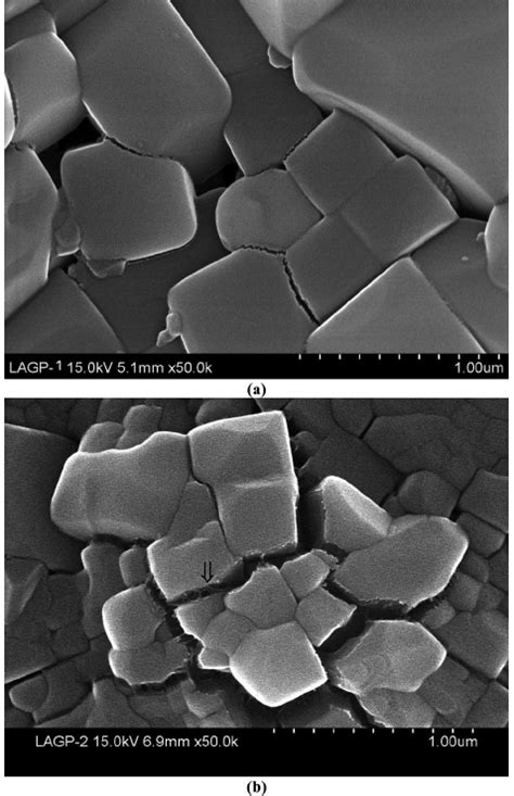 Sem Micrographs Of Polished And Thermally Etched Specimens From ͑ A ͒