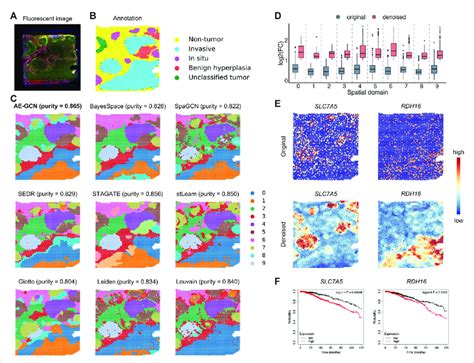 Ae Gcn Provides More Biological Insights Into Intratumor Heterogeneity Download Scientific