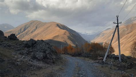 საავტომობილო გზის პროექტირება თრუსოს დაცული ლანდშაფტის მდგრადი