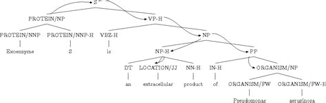 Pdf Exploiting Rich Syntactic Information For Relationship Extraction