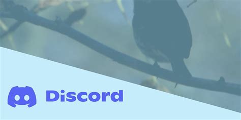 Twib Notes Sowing Discord Rust Belt Flamingos And A Look At The