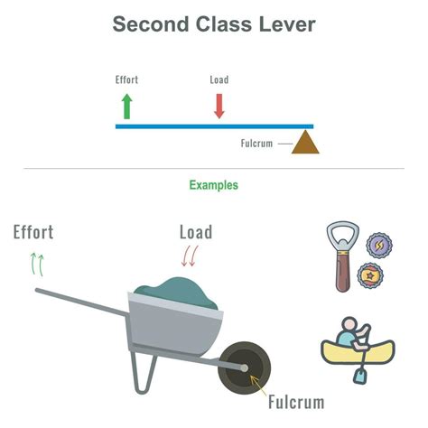 Second Class Lever With Example Vector Illustration 23452908 Vector Art