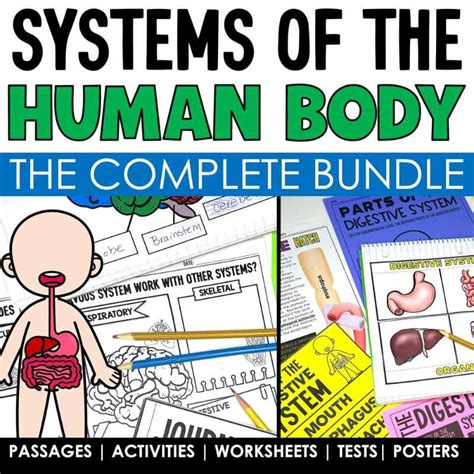 Teaching Human Body Systems In Upper Elementary 8 Fun Ideas