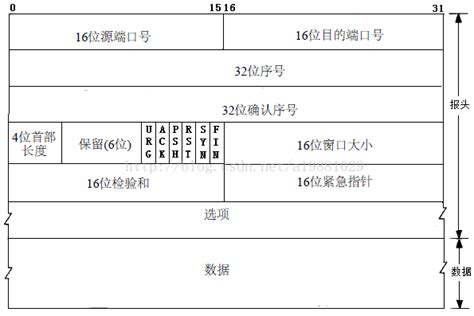 Tcp协议详解 Csdn博客 Tcp协议详解 Csdn博客