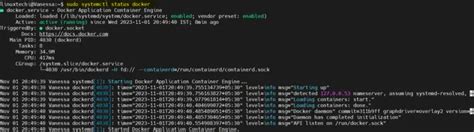 How To Install Docker On Linux Mint 21 Step By Step