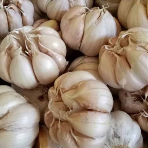 Bawang Putih Bulet 1 Kg Pasar Segar