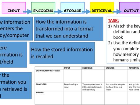 GCSE OCR Memory Teaching Resources