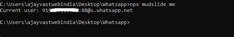 Whatsapp Message Using Commandline